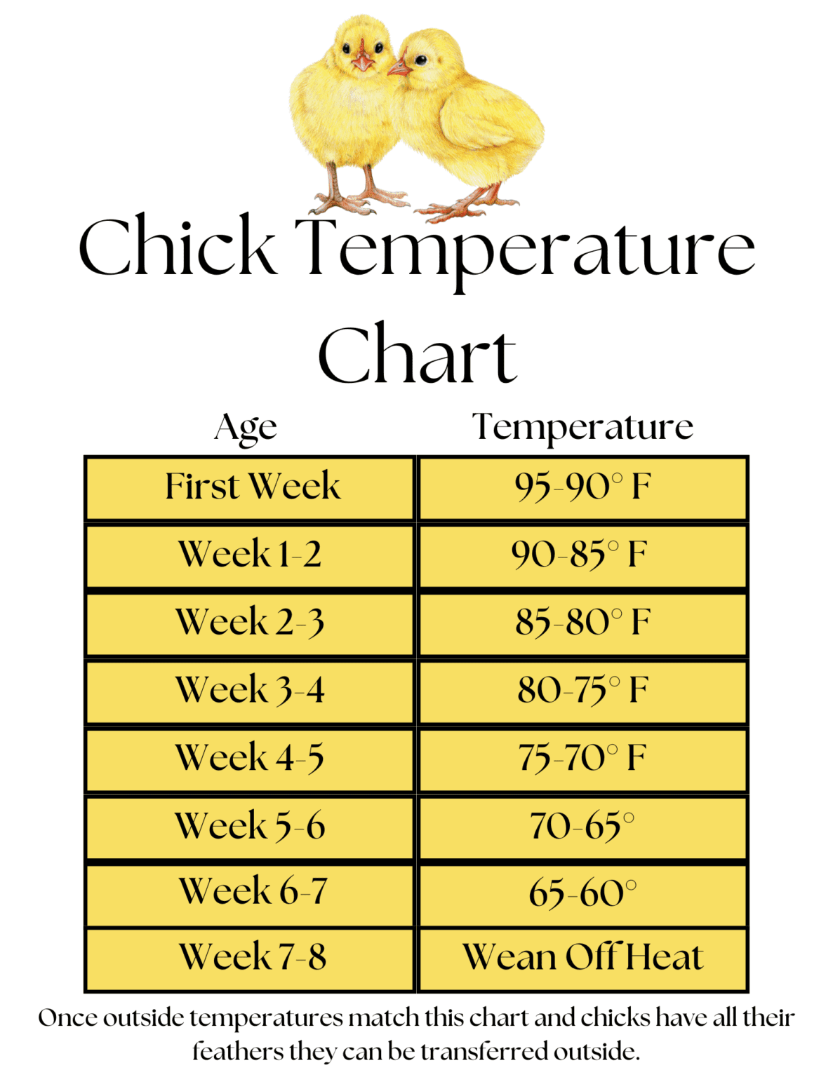 Ultimate Guide You Need To Read Before Raising Baby Chicks • Crows Crossing